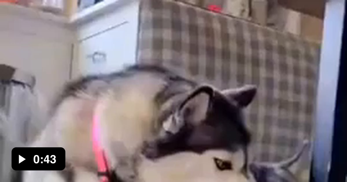 It's not normal 😂 - 9GAG