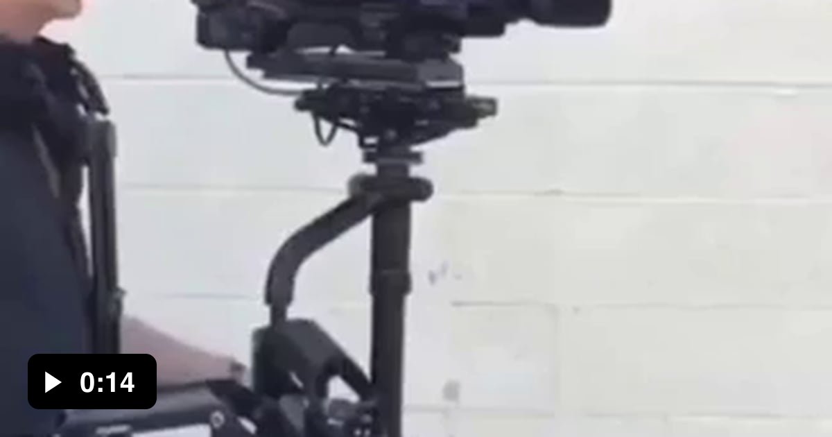 Steadicam, powered by coaxial titanium spring sets, the arm smoothly ...