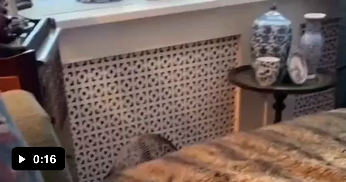 Very Happy Happy :D - 9GAG