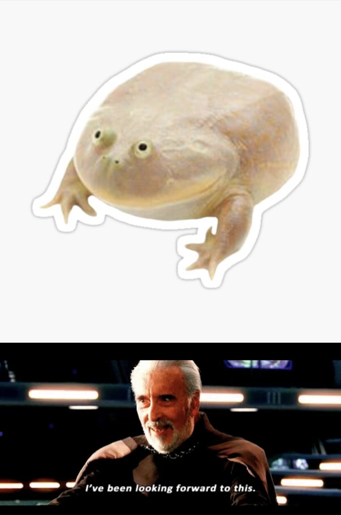 When you’ve been looking forward to Wednesday - 9GAG