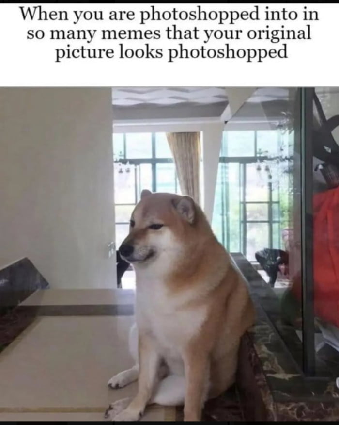 Poor doge - 9GAG