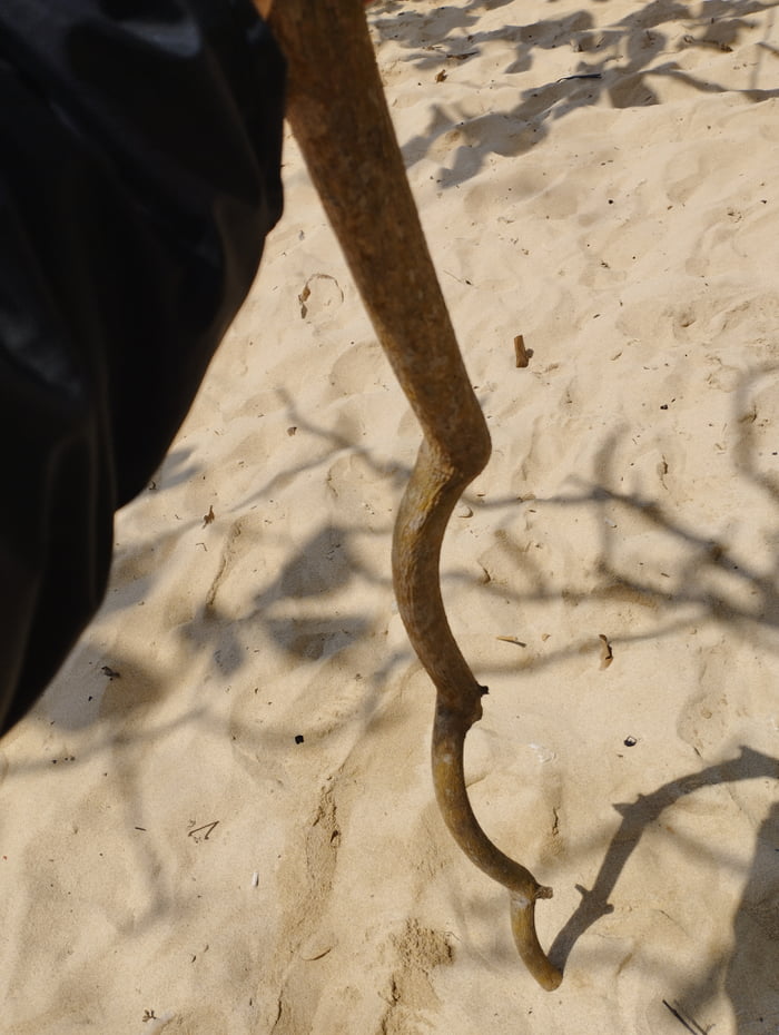 Am i allowed to post my mythical stick? - 9GAG