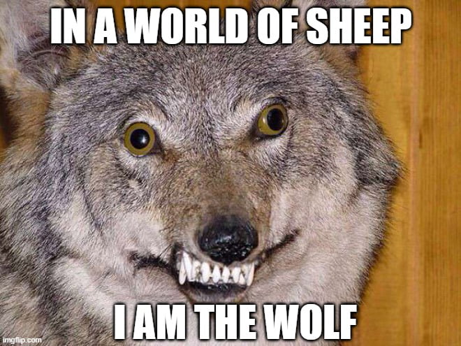 There is a wolf inside you. The wolf inside you: - 9GAG