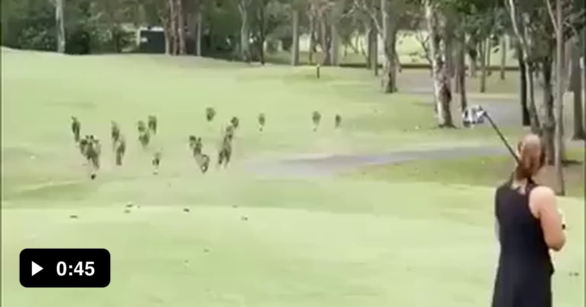 Golf Spectators!!! - 9GAG