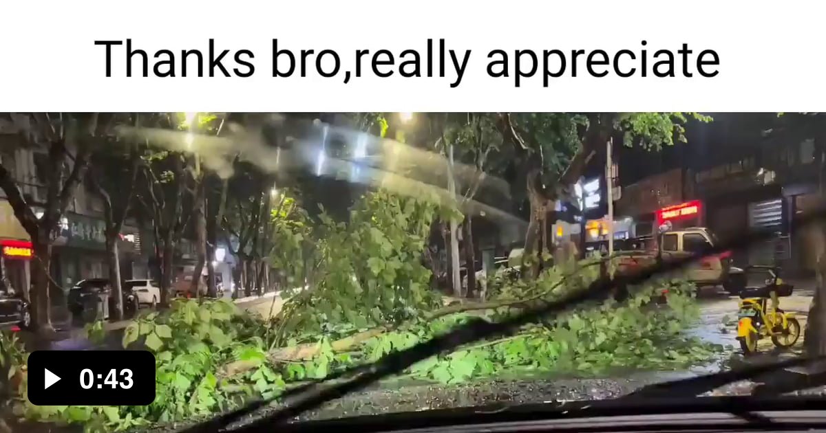 Task failed successfully - 9GAG