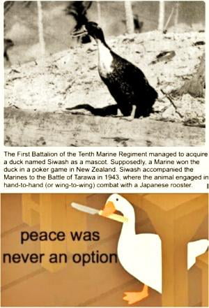 Stg Siwash aka The American "Devil Duck" - 9GAG