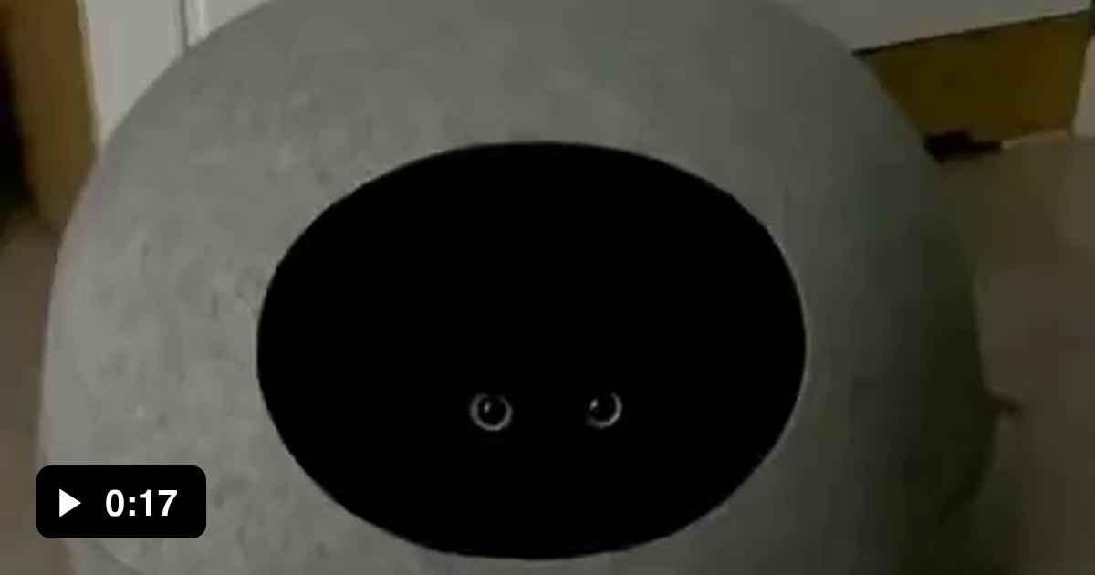 The void *mlem* - 9GAG