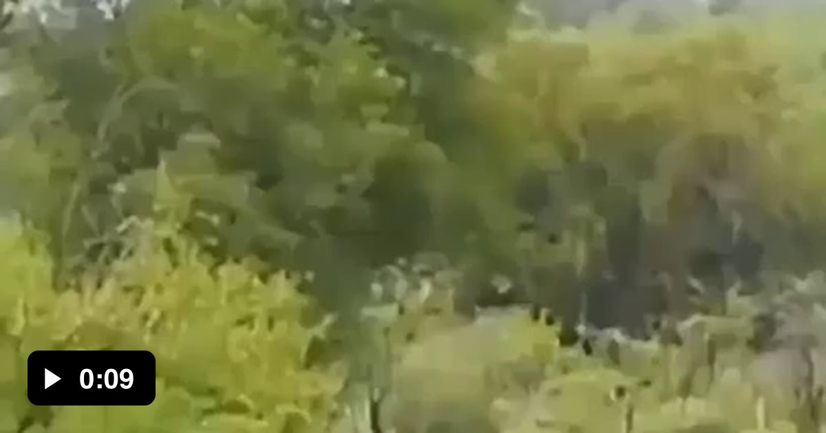 Defeated male leaves ! - 9GAG