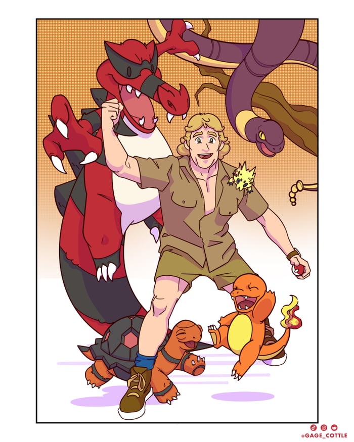 "Crikey! Have a go at that beauty of a Pokemon!" - Steve Irwin as a Pokemon Trainer ...