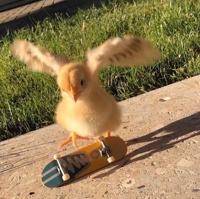Meet Tony Hawk - 9GAG