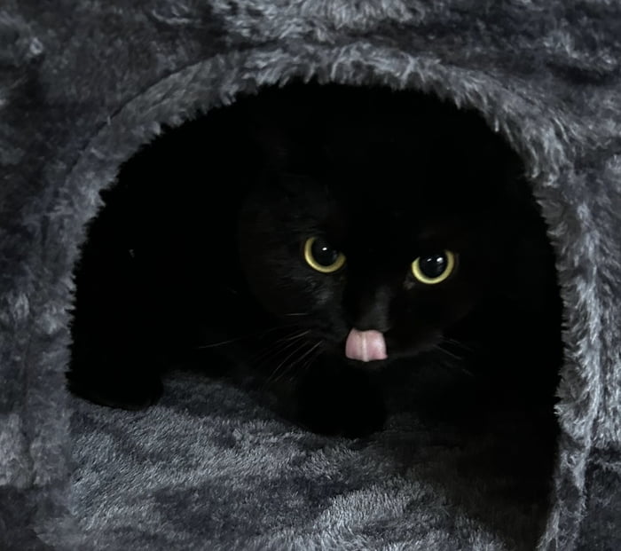 Look into the void and the void mlem‘s back - 9GAG