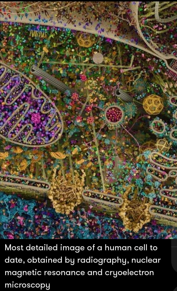 Where the hell is the 2 mt long DNA strand here? - 9GAG