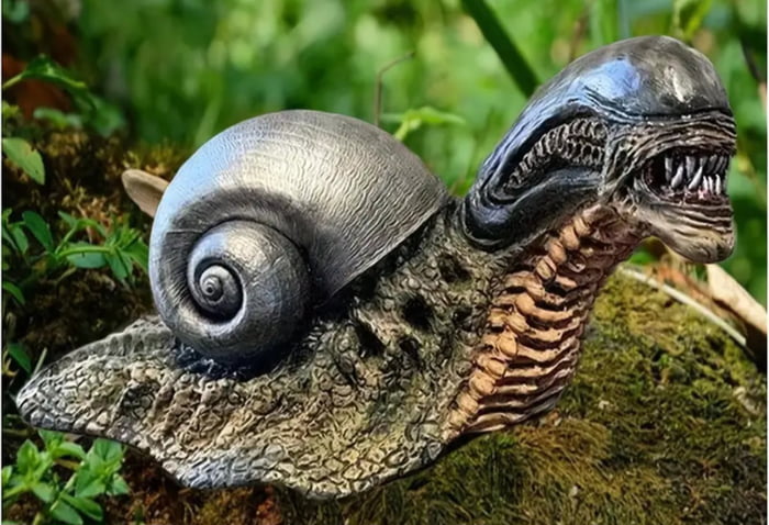 **You have been so successful at avoiding assassin snail, it has been ...