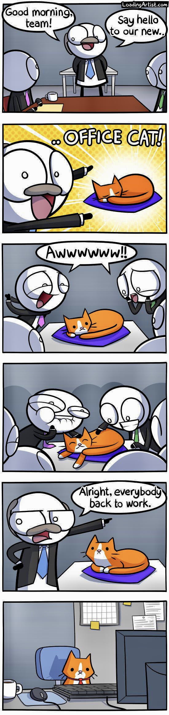 Office cat - 9GAG