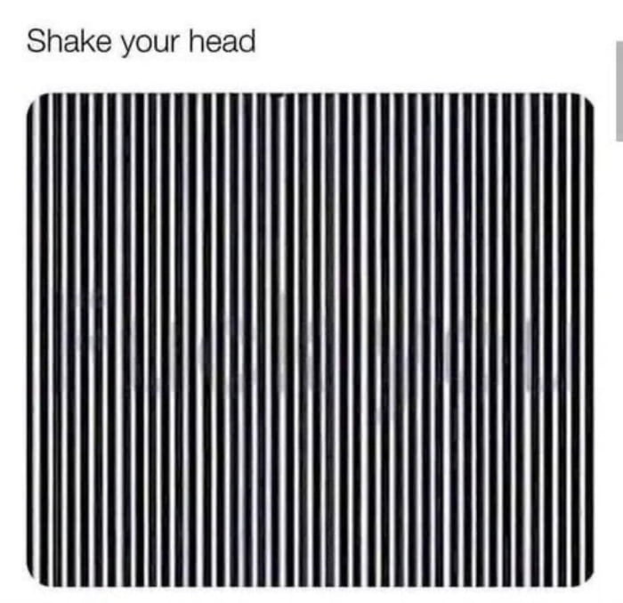 Shake your head - 9GAG