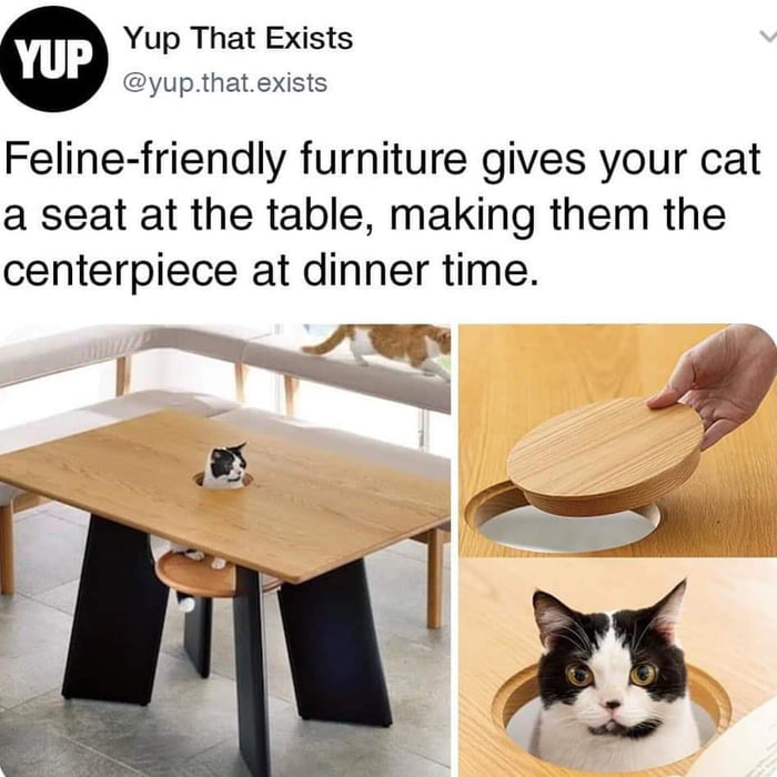 Give him a seat - 9GAG