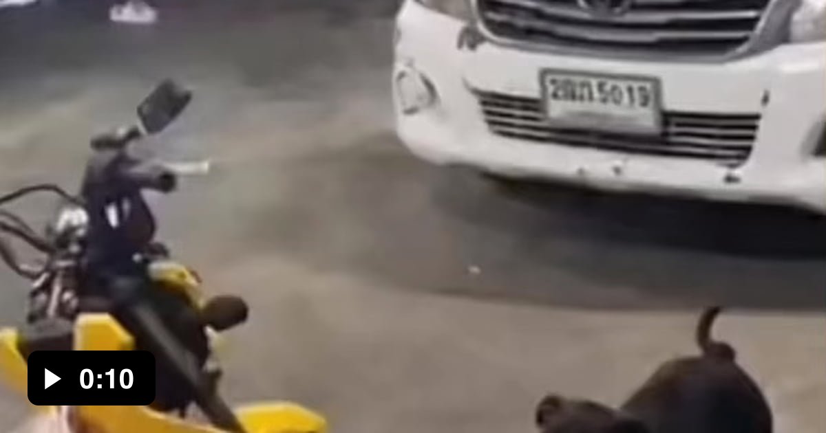 "Does your dog bite?" - 9GAG