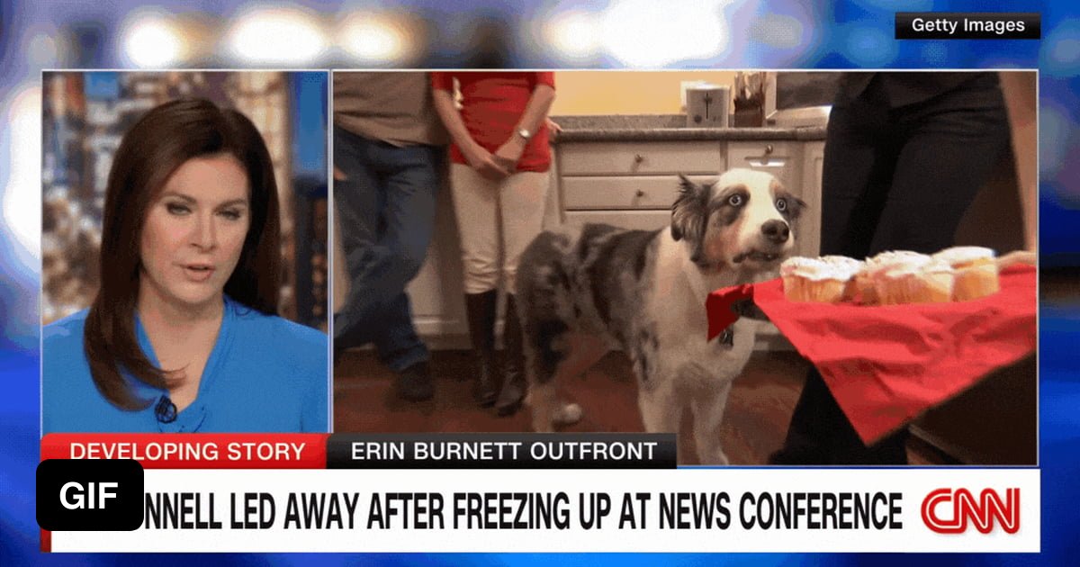 He says he's fine. - 9GAG