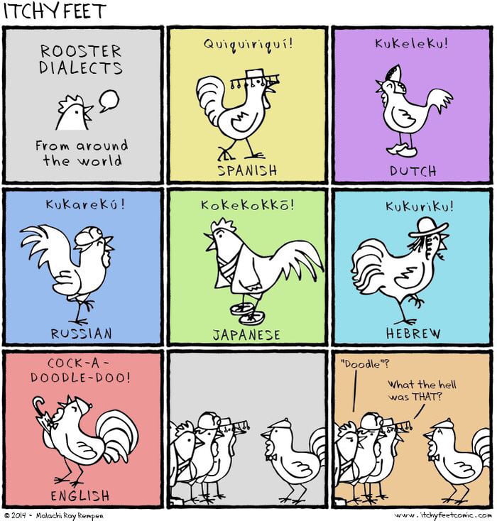 Odd bird out - 9GAG