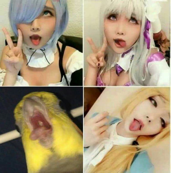 I love lewd cosplay - 9GAG