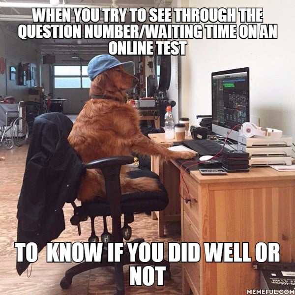 Hackerman/dog - 9GAG