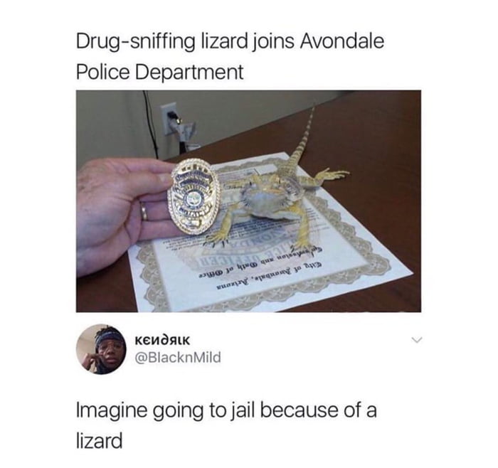 Officer lizard - 9GAG