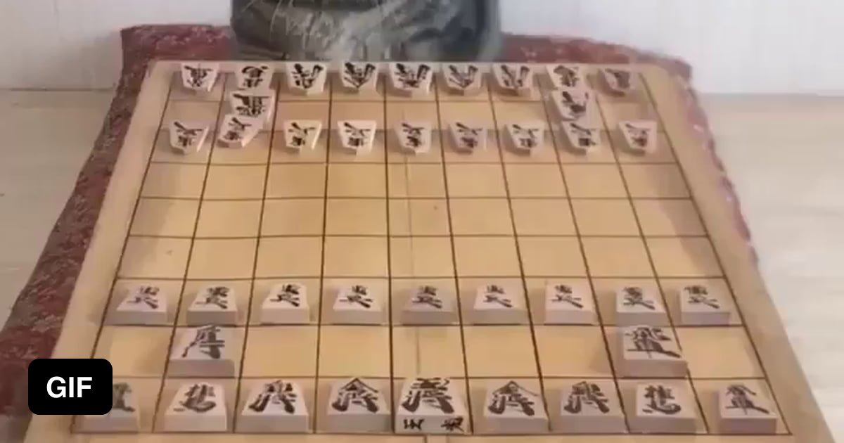 Meet my shogi master - 9GAG