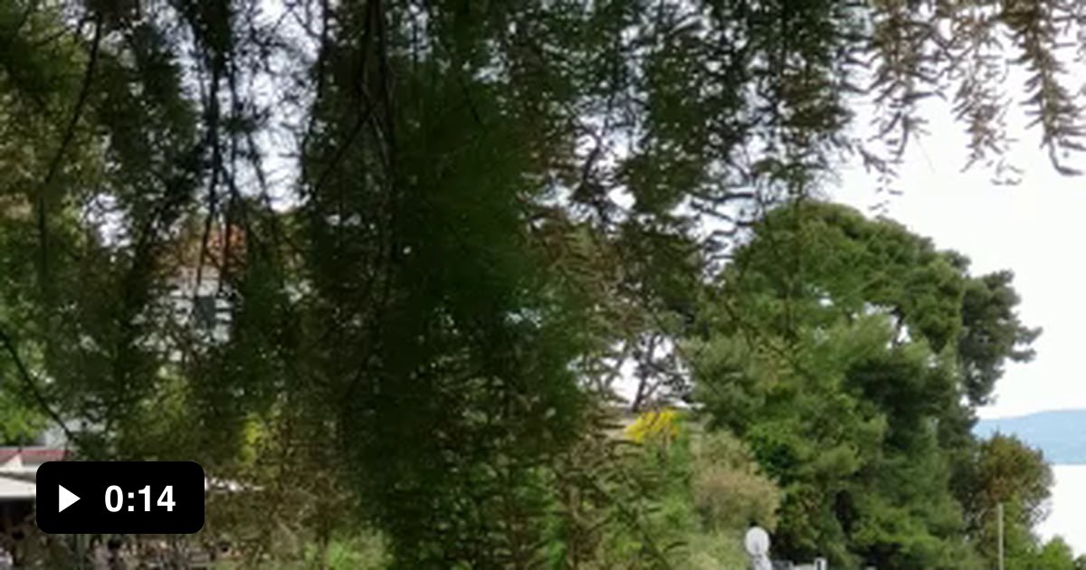 Meanwhile on the beach in Croatia. - 9GAG