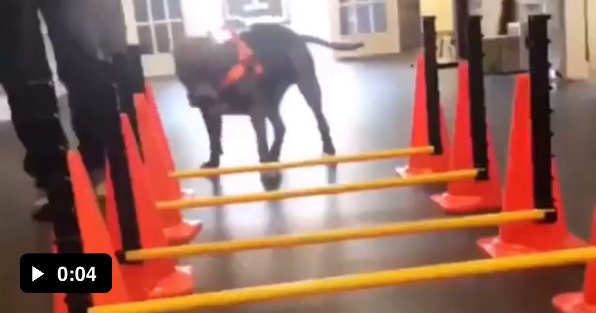 Work in progress - 9GAG