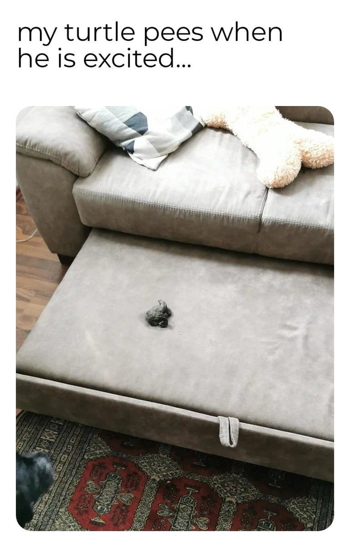 Well at lest it is just pee.. - 9GAG