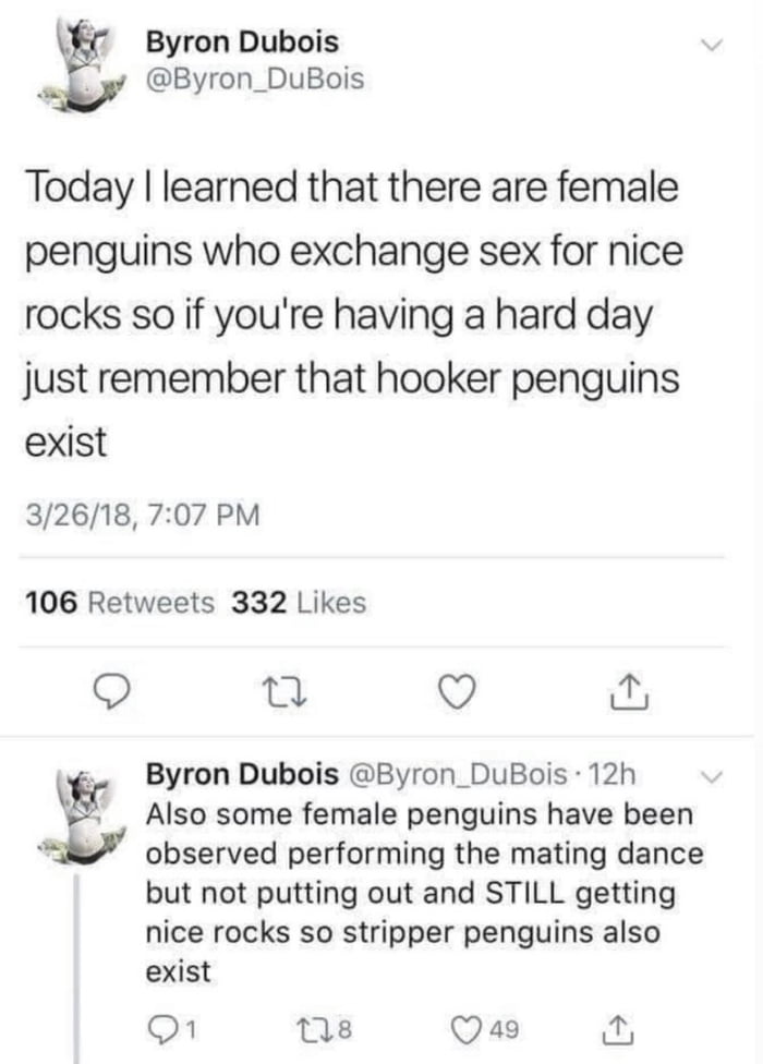 Stripper Penguins - 9GAG