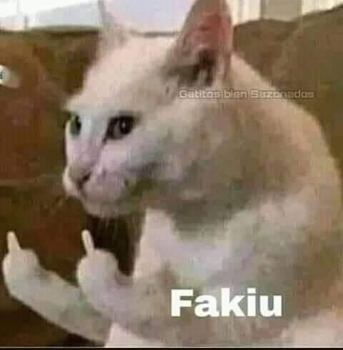 Fakiu - 9GAG
