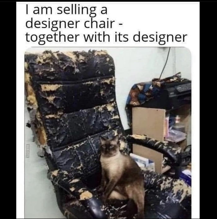 Cats are awesome - 9GAG