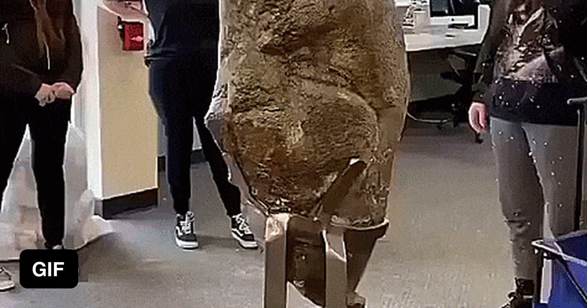 At first it looked like a giant turd, but then… - 9GAG