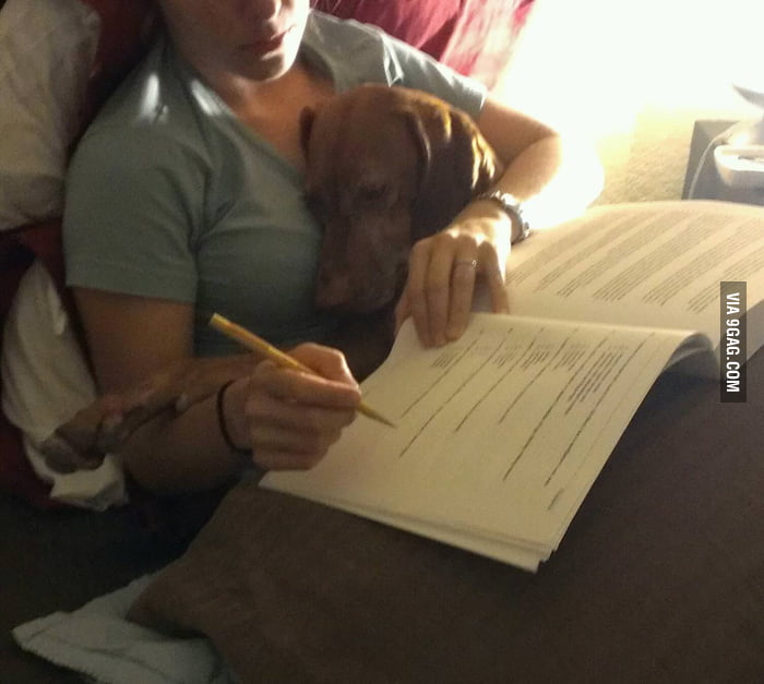 Wife passed boards yesterday. We owe a lot to her study buddy. - 9GAG