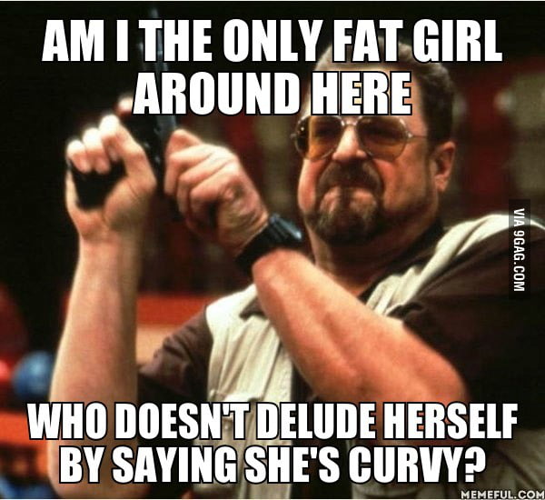 After hearing all the curvy vs. fat talk - 9GAG