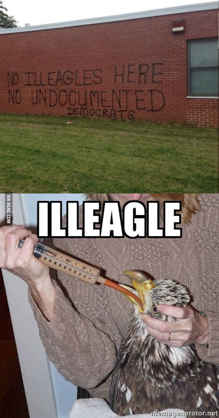 Illeagle immigrants - 9GAG