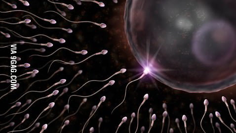 Throwback Thursday Level: Sperm - 9GAG