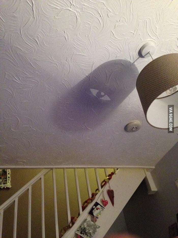 Interesting shadow created from my light shade! - 9GAG