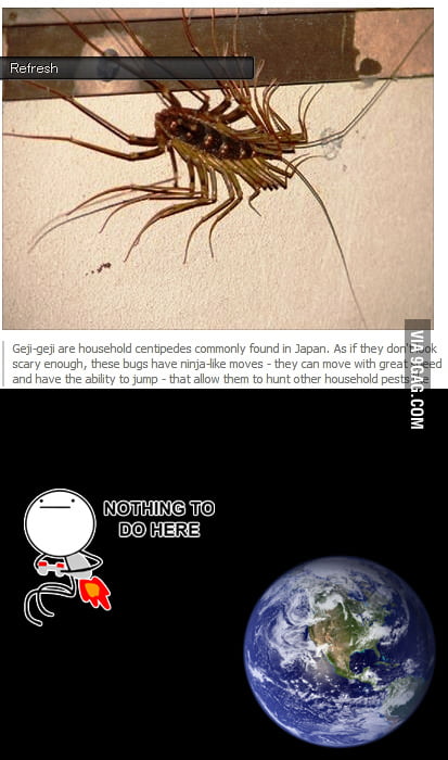 Geji-Geji, a Japanese household centipede. - 9GAG