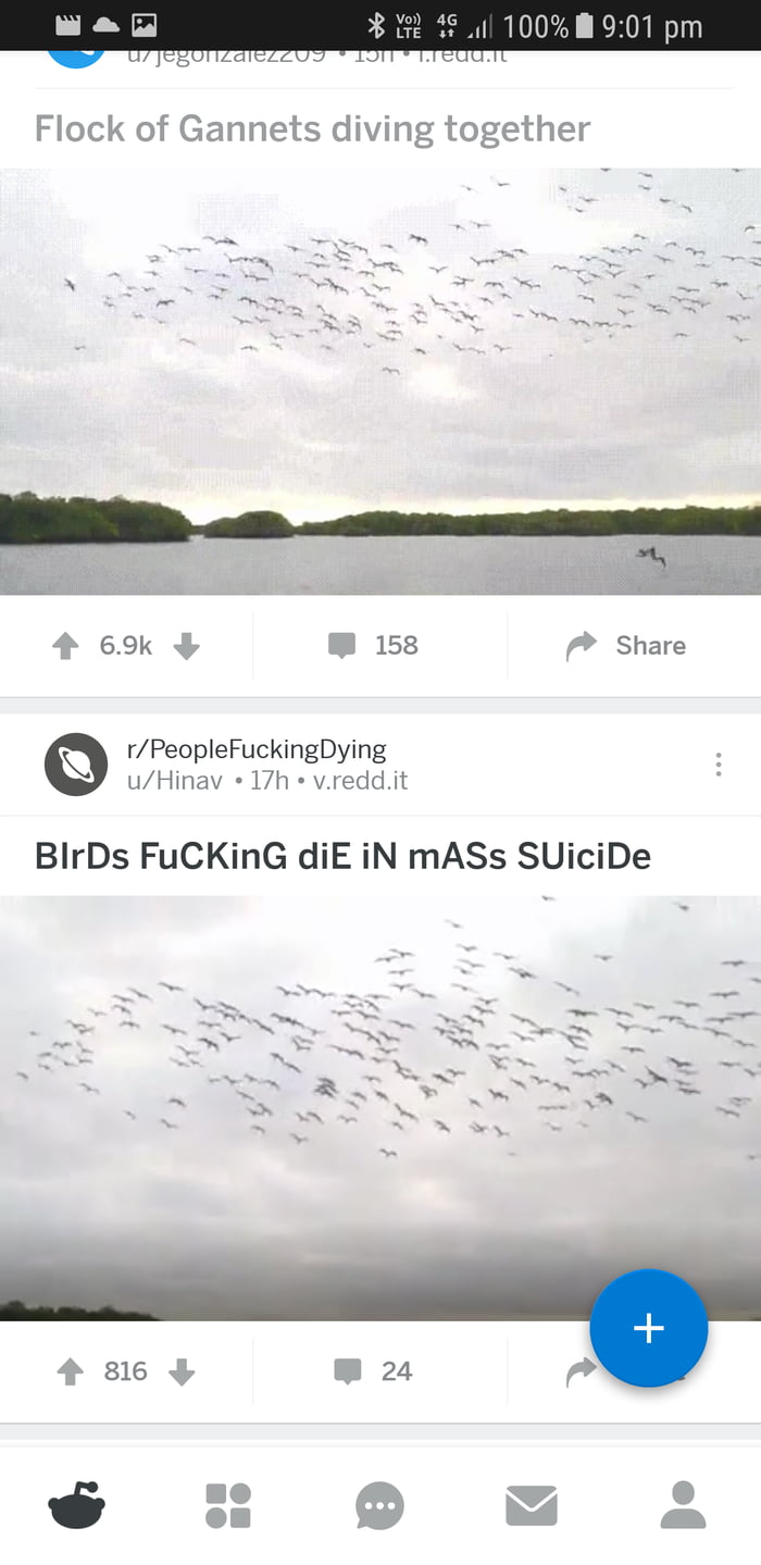 Small difference in videos - 9GAG