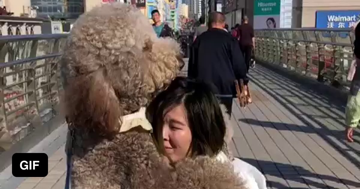 Homan! I’m still a baby - 9GAG