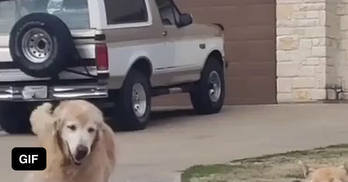 Old gentlemen tippy taps. Do these count? - 9GAG