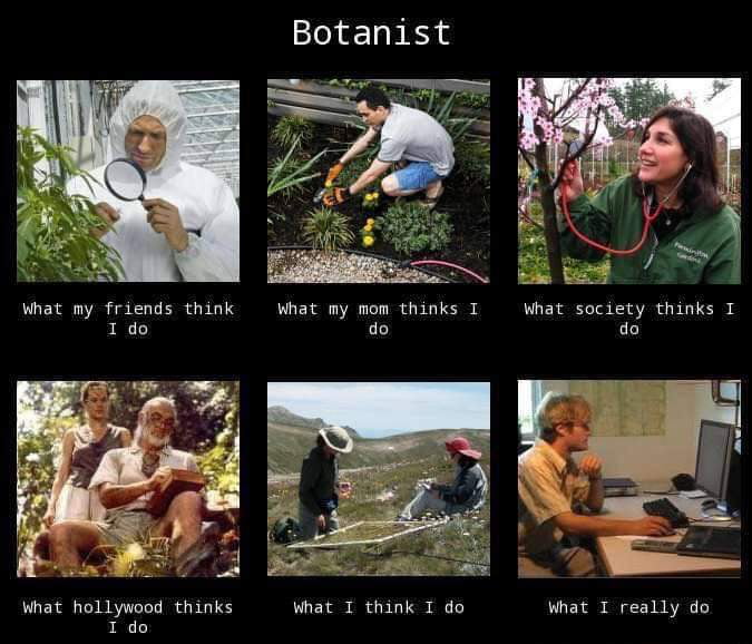 Me as a botanist: Where is that Uncle Willys beautiful green plant? - 9GAG