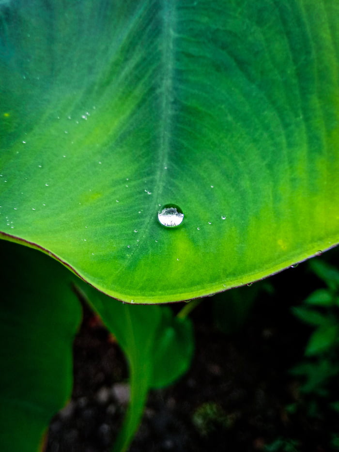 Rain photography - 9GAG