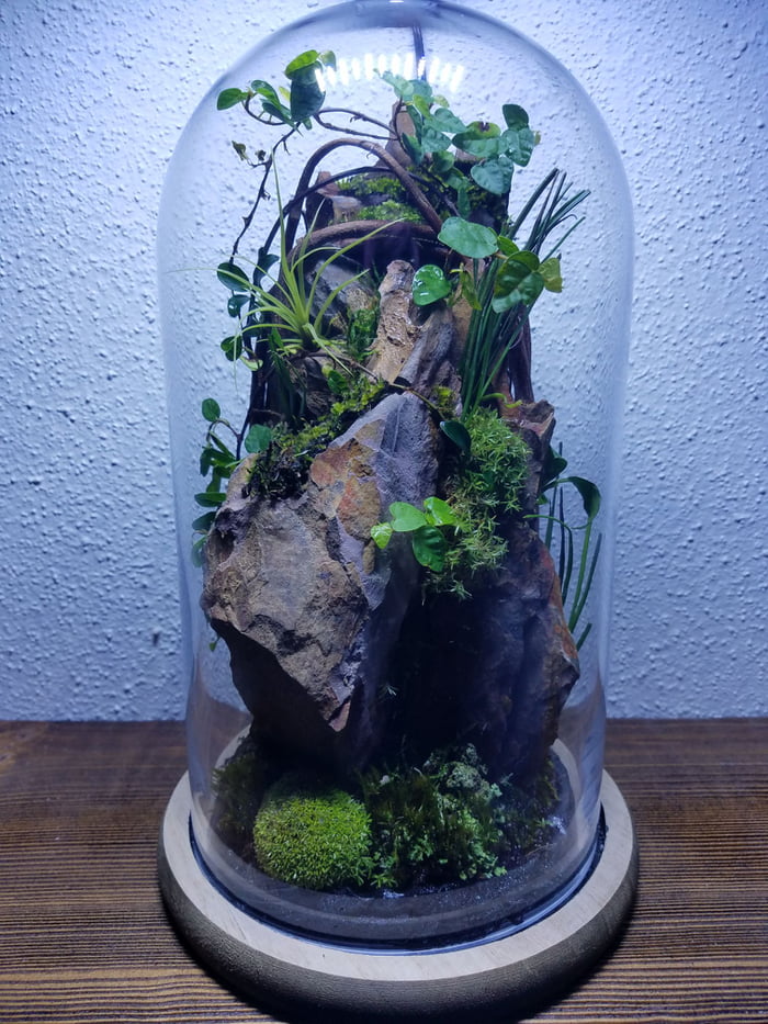 My dragon stone pillar, terrarium build - 9GAG