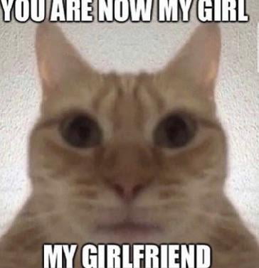 Cat-simp: The feline simper - 9GAG