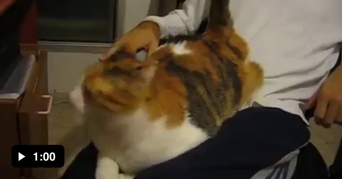 Spank me, Daddy! - 9GAG