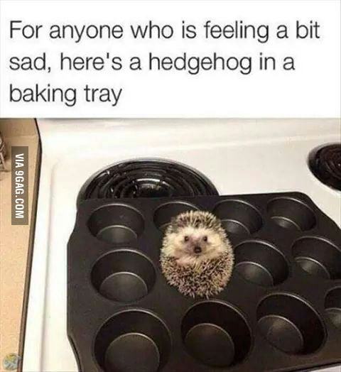 For anyone who is feeling a bit sad - 9GAG