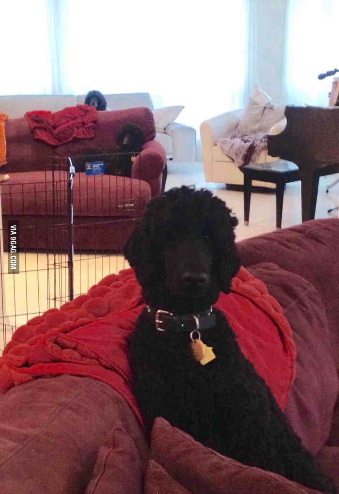 CTRL+C, CTRL+V, CTRL+V - 9GAG